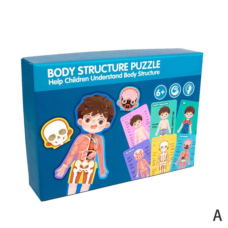 Children's Body Structure Puzzle Training Hand... – Grandado