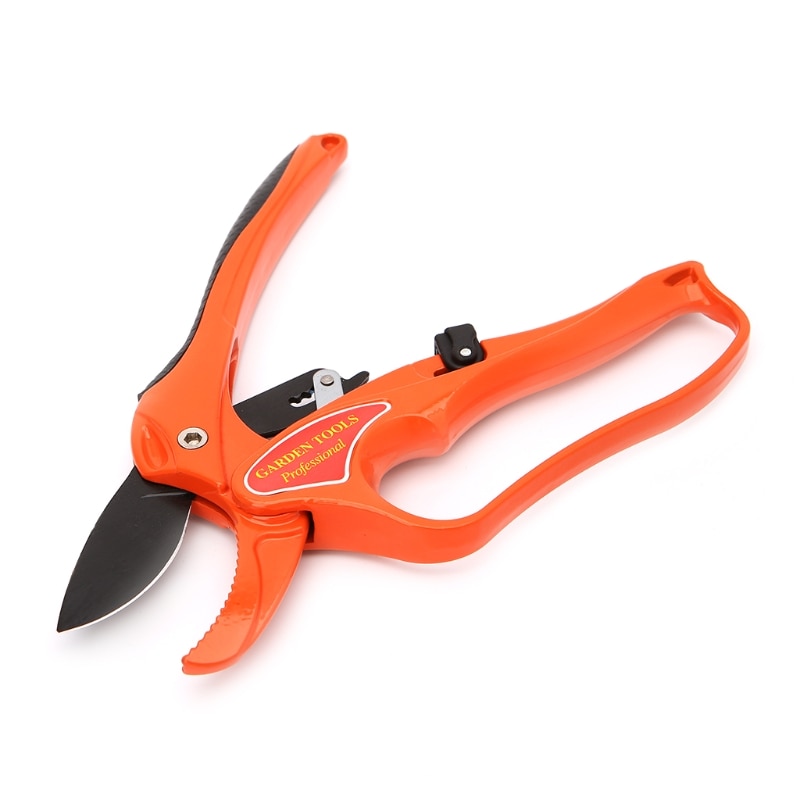 1Pc Tuin Gereedschap Snoeischaar Schaar Fruit Rate... – Grandado