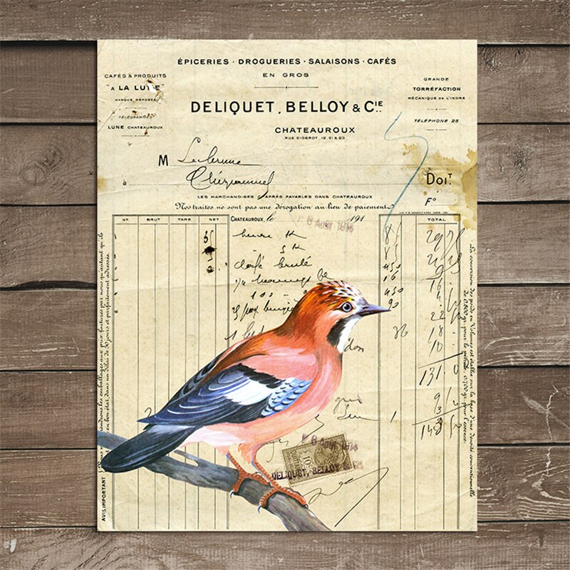 4Pcs/Lot Colorful Woodpecker Material Papers DIY S... – Vicedeal