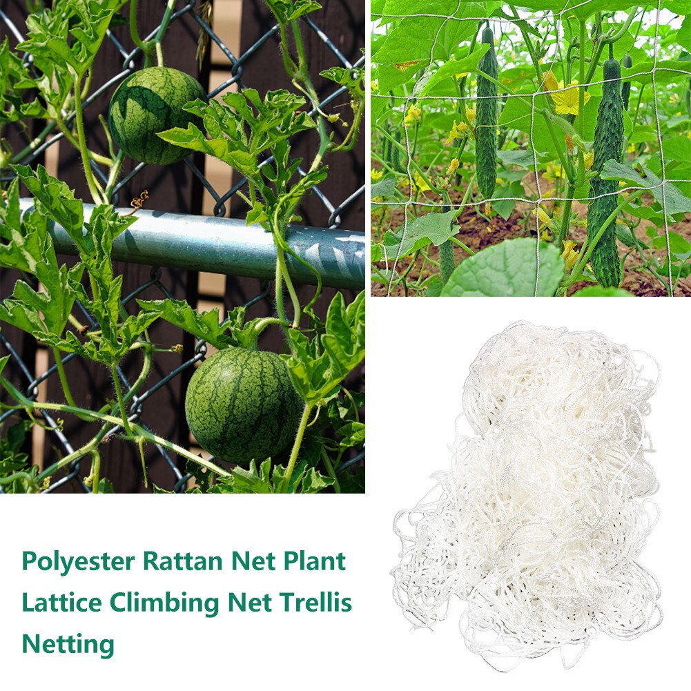 1.8x5m Garden Polyester Rattan Net Plant Climbing ... – Grandado