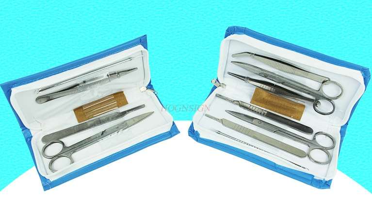 Scalpel biodissection tool insect specimen making ... – Grandado