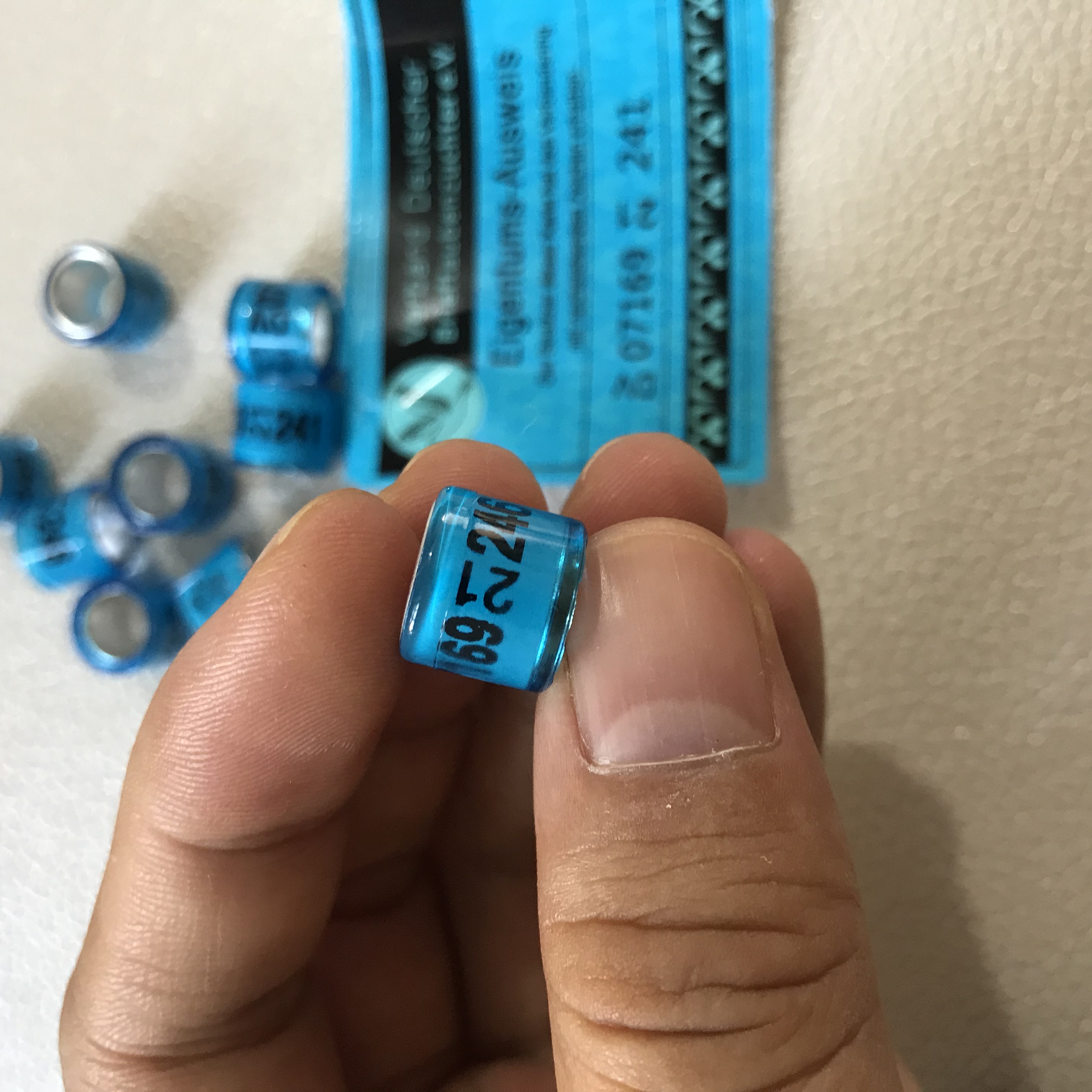 DV Pigeon foot ring with cards Bird RINGs 10pcs wi... – Grandado