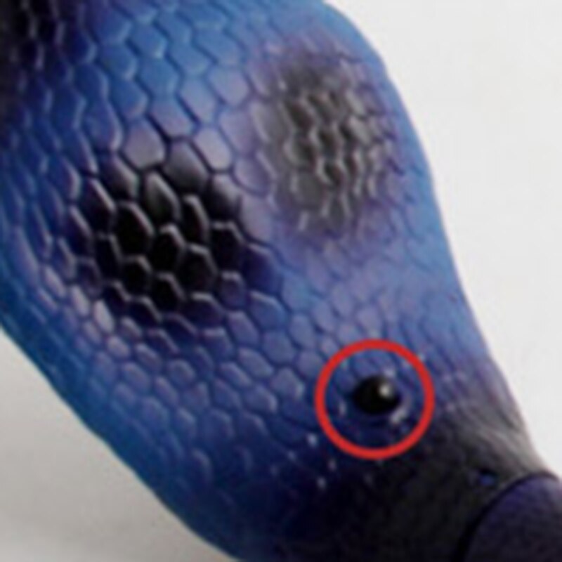 Funny Toy Electric Tricky Infrared Remote Control ... – Vicedeal