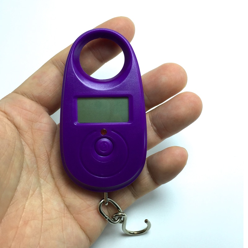 Báscula Digital portátil 25Kg 5g balanza electróni... – Grandado