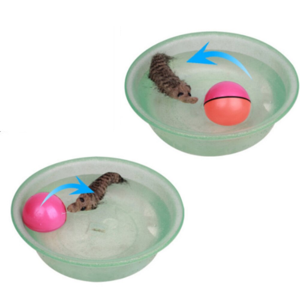 Electric Beaver Weasel Rolling Ball Pet Dog Cat In... – Grandado