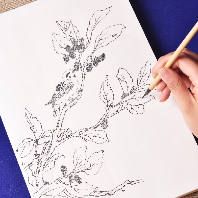 97sheets Line Drawing Painting Manuscript Vegetabl... – Vicedeal