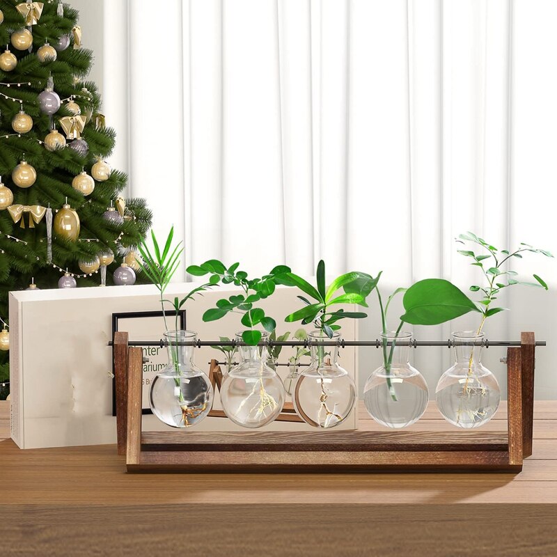 -Desktop Propagation Stations Plant Glass Planter ... – Vicedeal