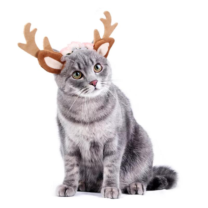 Cute Cat Headdress Pet Supplies Christmas Pet Elk ... – Vicedeal