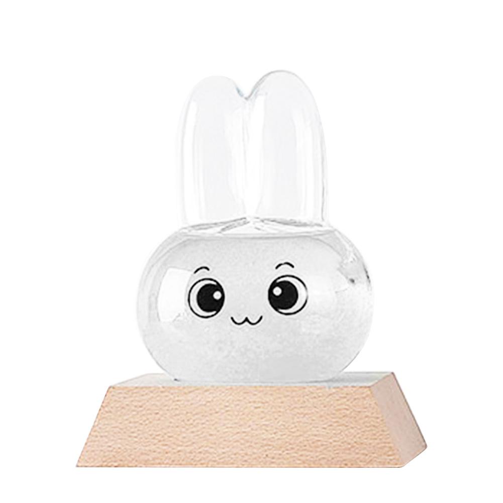 23 Types Globe-Shaped Storm Glass Bottle Desktop W... – Grandado