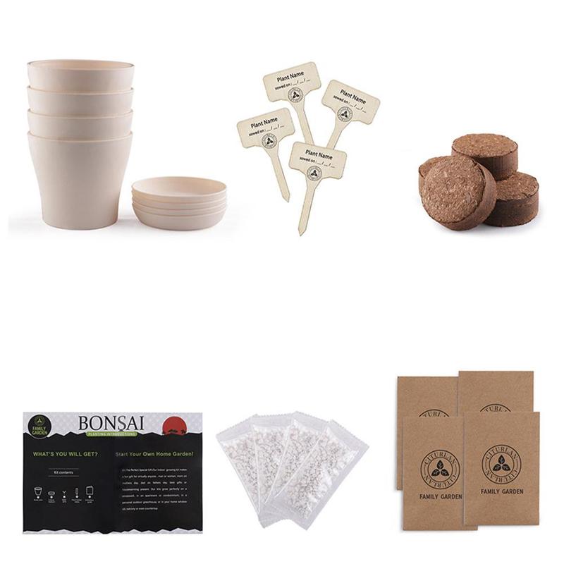 Indoor Germination Bonsai Tree Kit Growing Pot Dri... – Grandado