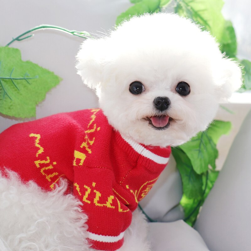 Congratulations on Making a Fortune Pet Sweater Te... – Vicedeal