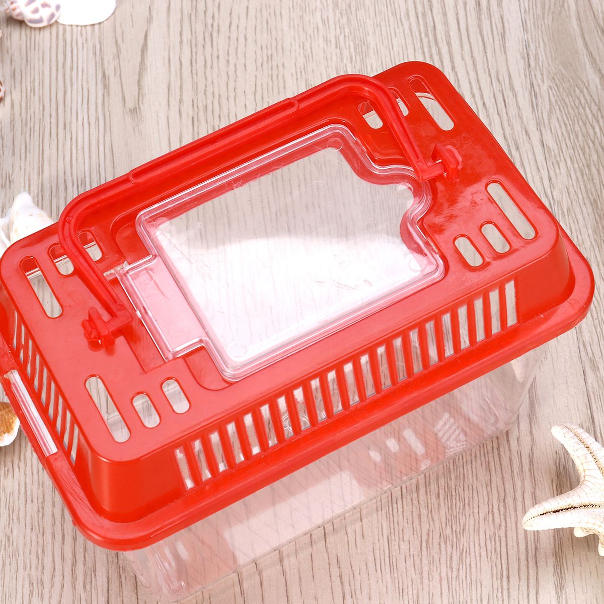 Mini Fish Tank Plastic Handheld Fish Tank for Turt... – Grandado