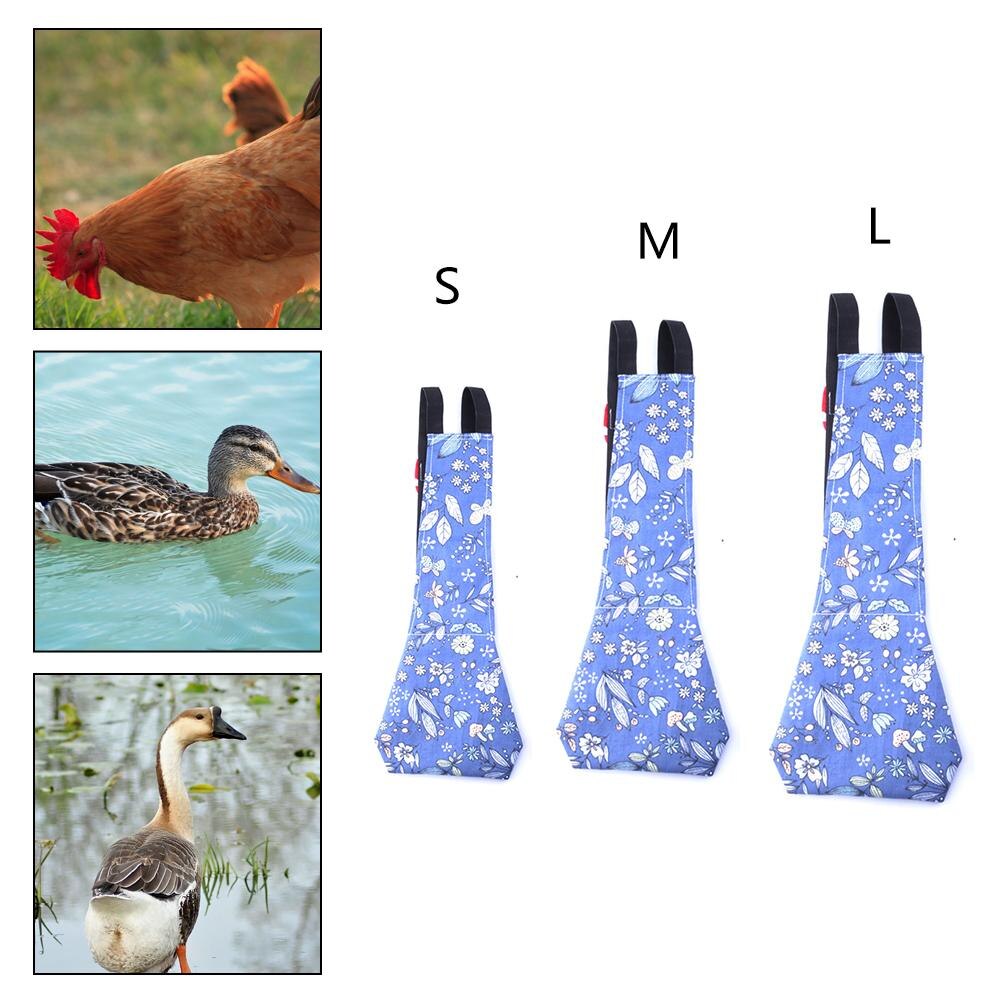 Pet Diaper V Shape Chicken Duck Goose Pigeons Poul... – Grandado