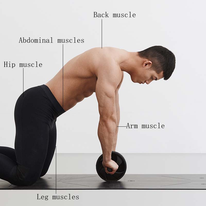 Ab Roller for Abs Workout - Ab Roller Wheel Exerci... – Grandado