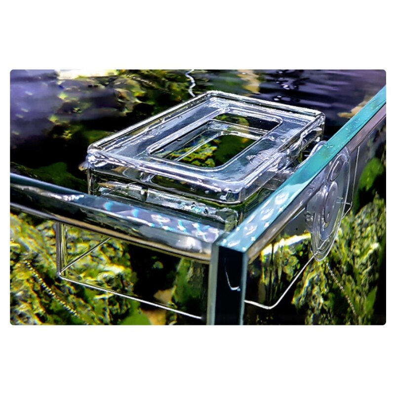 Transparent Acrylic Fish Tank Station Floating Foo... – Grandado