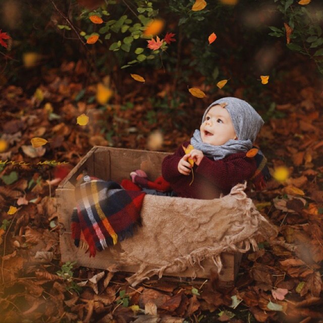 105 Falling Leaves Photo Overlays, Autumn overlays... – Vicedeal