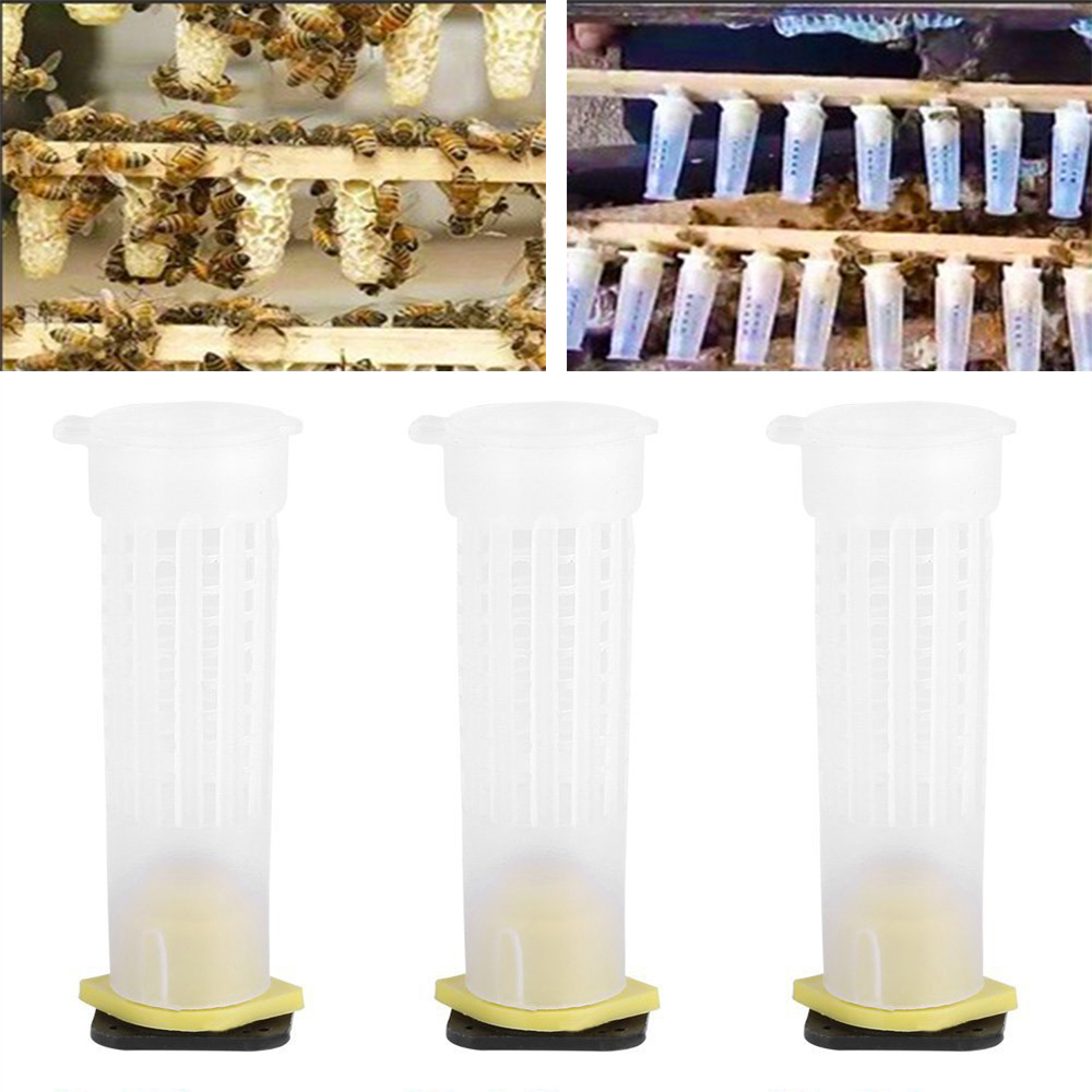 Bee rearing kit complete system bee queen cages ce... – Grandado