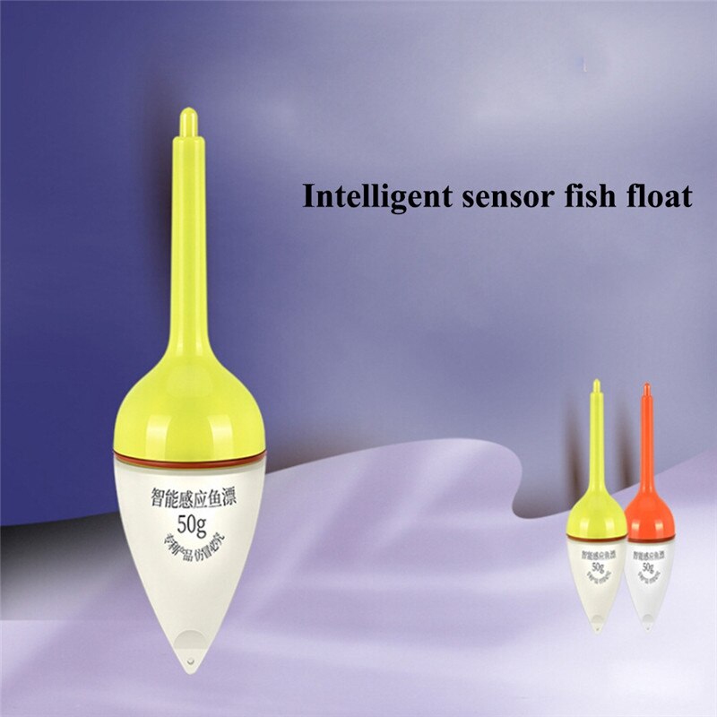 Night Glow Fishing Float EVA Fishing Floats Lighti... – Grandado