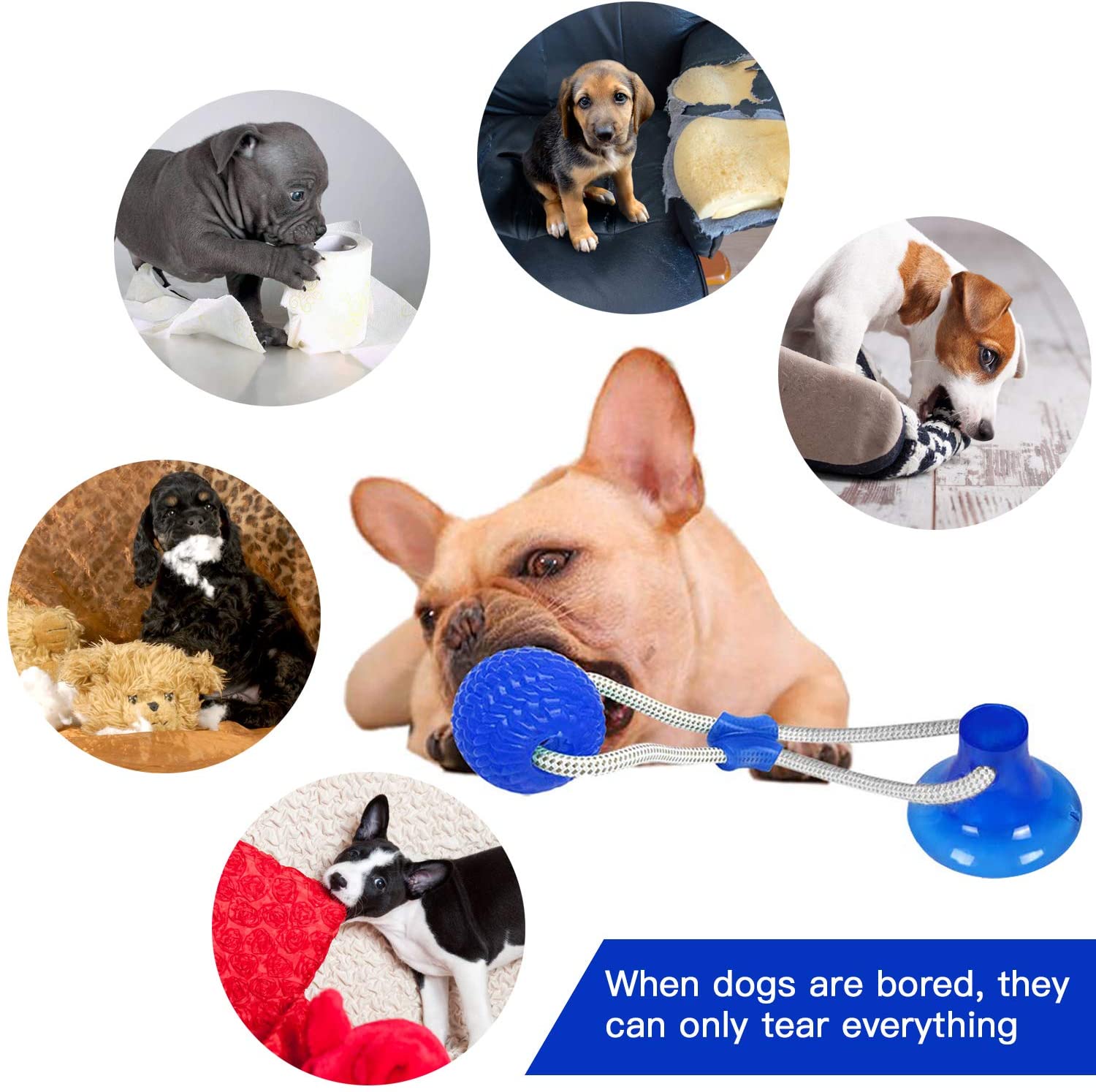Interactieve Zuignap Hond Chew Speelgoed Zelf Spel... – Vicedeal