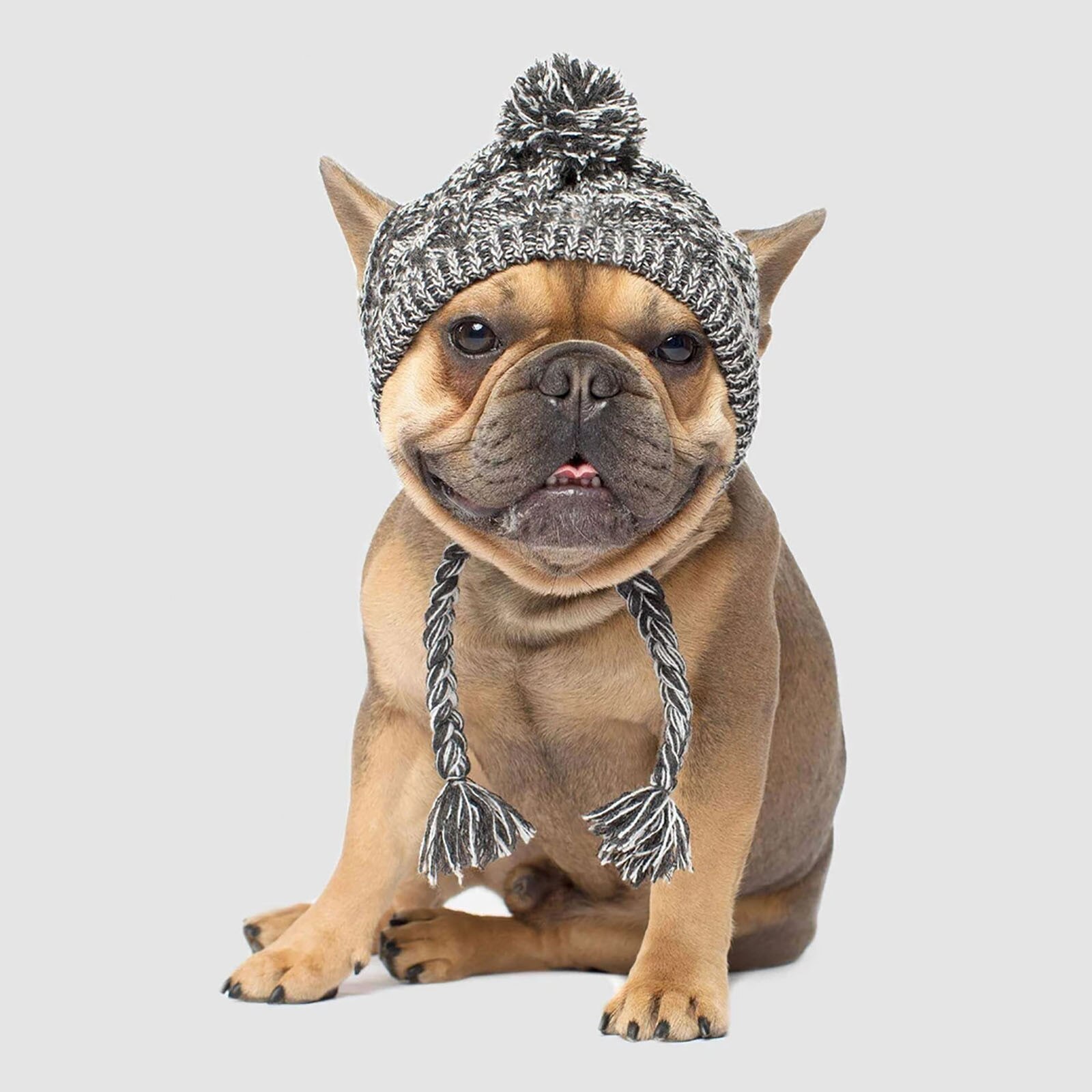 Winter Dog Hat - Keep Their Heads Warm Safe From F... – Grandado