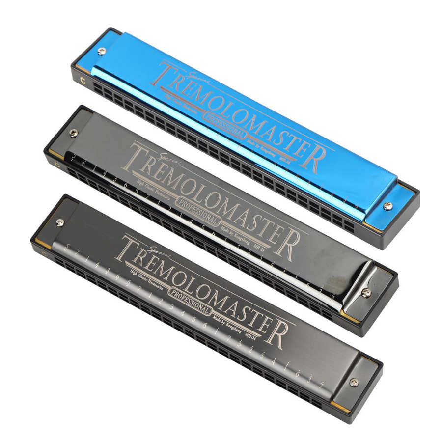 Mouthorgan Harmonica Diatonic Harp Children Polyph... – Vicedeal