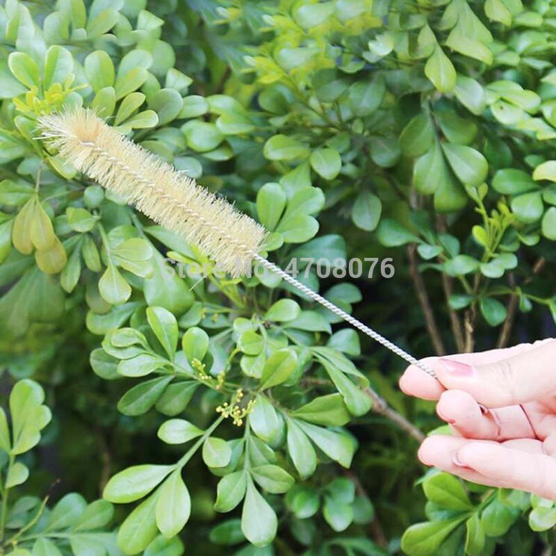 Glass test tube brush Measuring flask brushes Bala... – Grandado