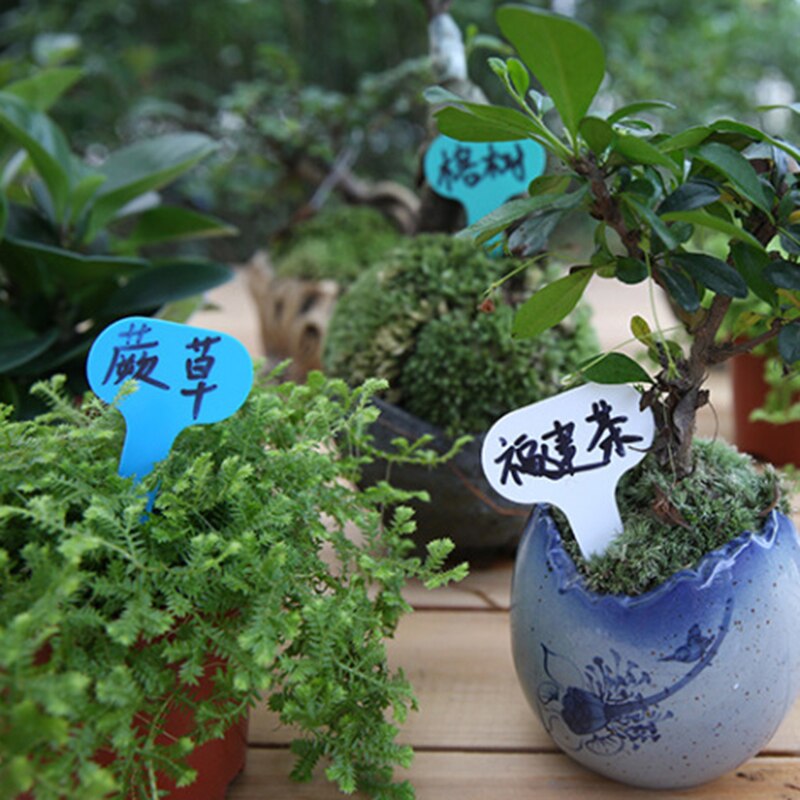 30 Pcs Garden Flowers Potted Plants Nursery Signs ... – Vicedeal