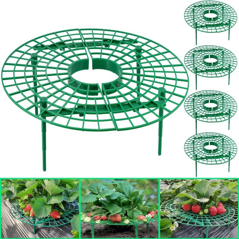 20Pcs Strawberry Stand Frame Holder Fruit Gg Frame... – Vicedeal