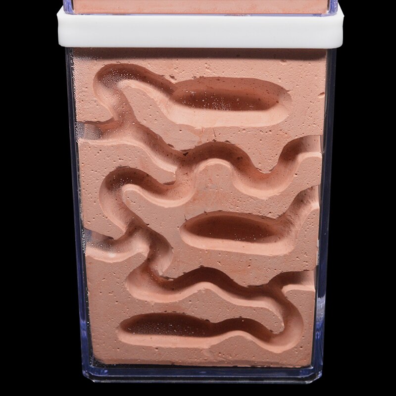 Big Ant Nest Insect Castle ant farm house with Fee... – Grandado