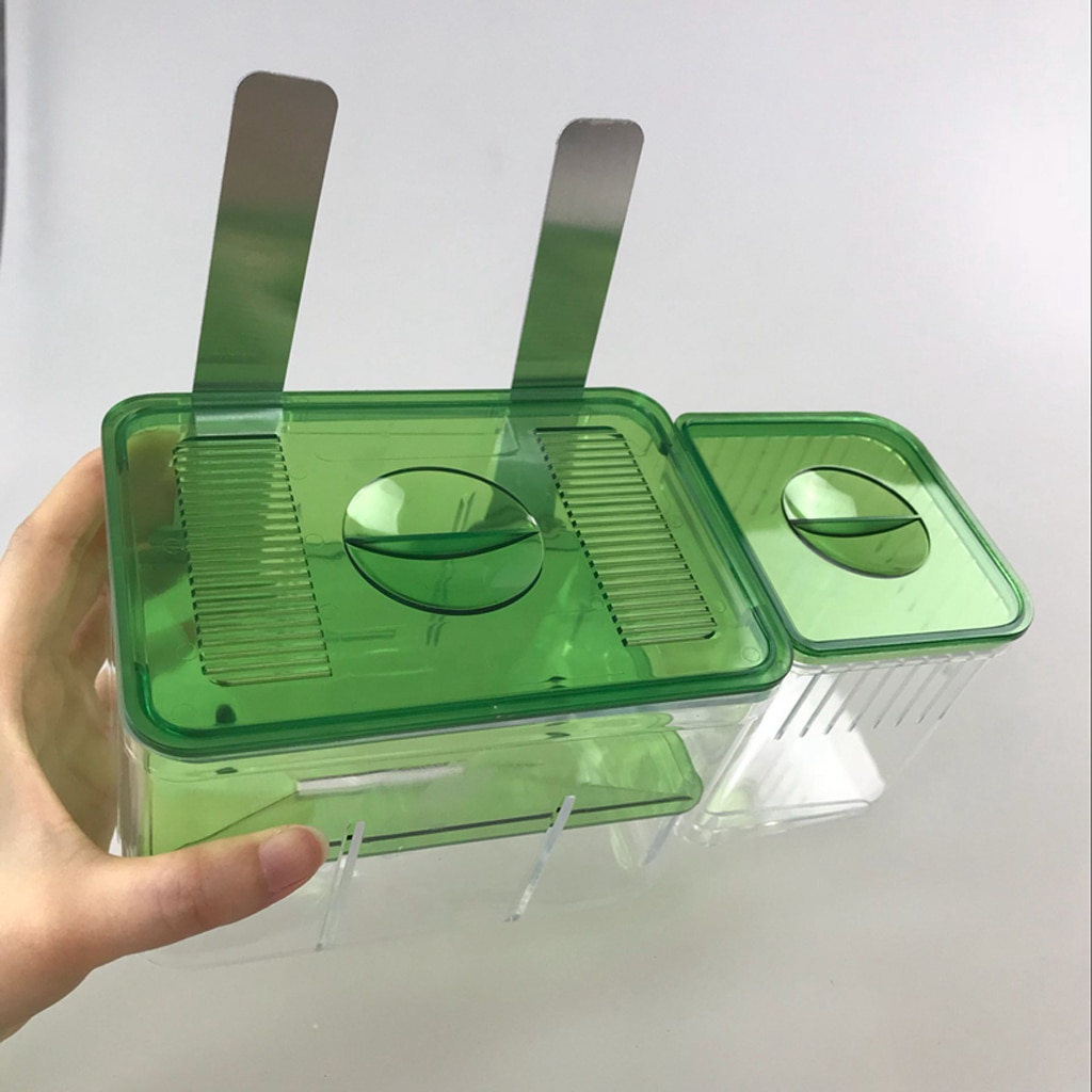 Aquarium Fish Tank Breeding Box Breeder Case Isola... – Grandado