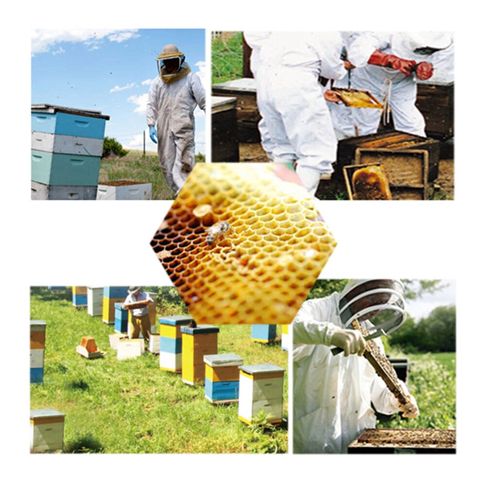 1PCS plastic honey extraction machine honey fillin... – Vicedeal