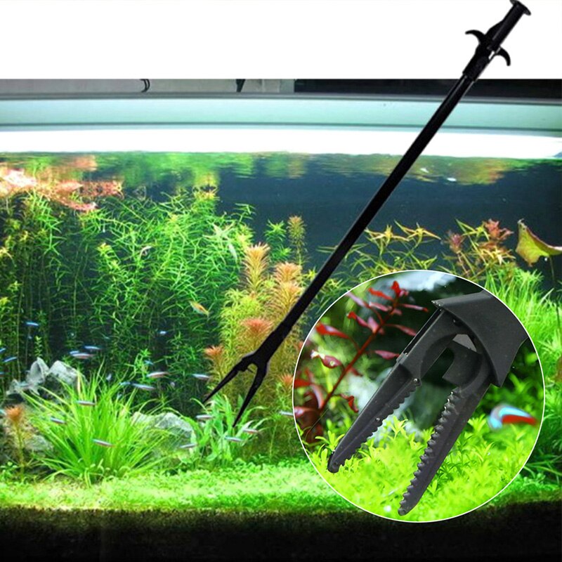 Pince Aquarium droit pince pince pince Aquarium ne... – Grandado