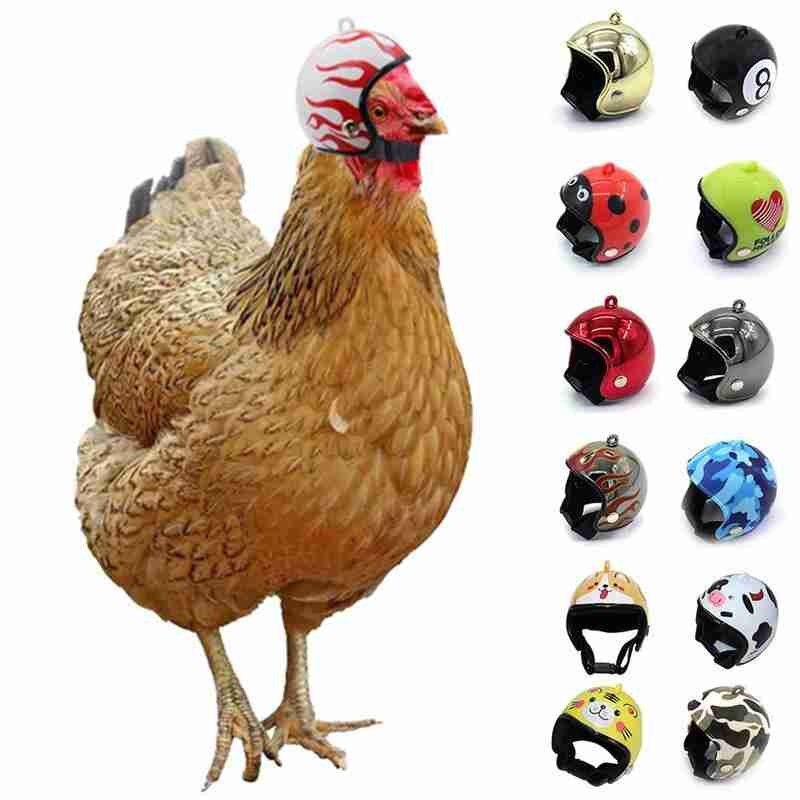 Helmet For Hens Chicken Helmet Cap Pet Gear Sun Ra... – Vicedeal