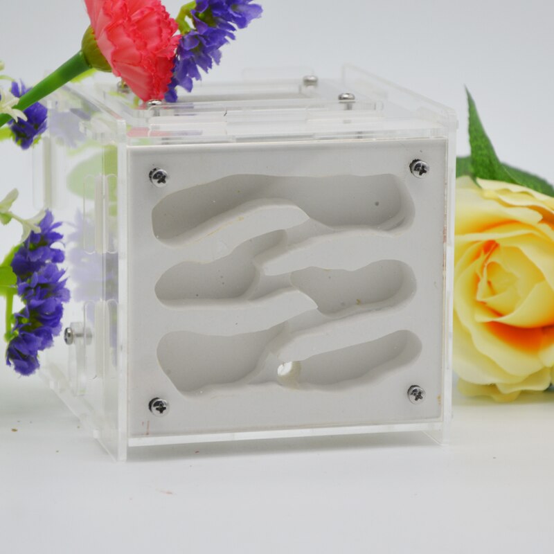 Plaster Ant Nest Acrylic Ant Farm Ants Queen House... – Grandado