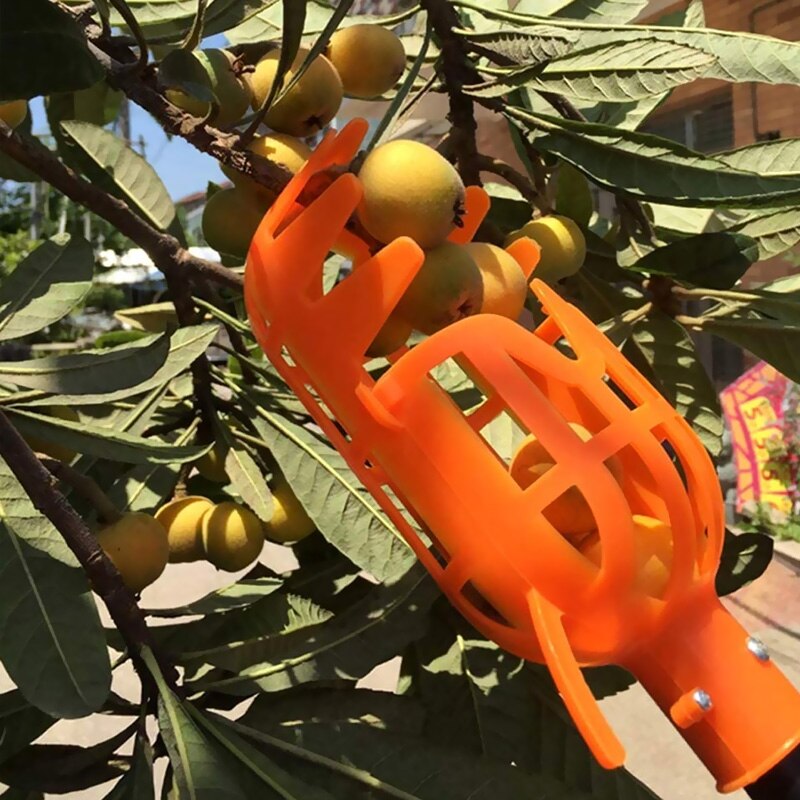 1pcs Greenhouse Plastic Fruit Picker Gardening Fru... – Grandado