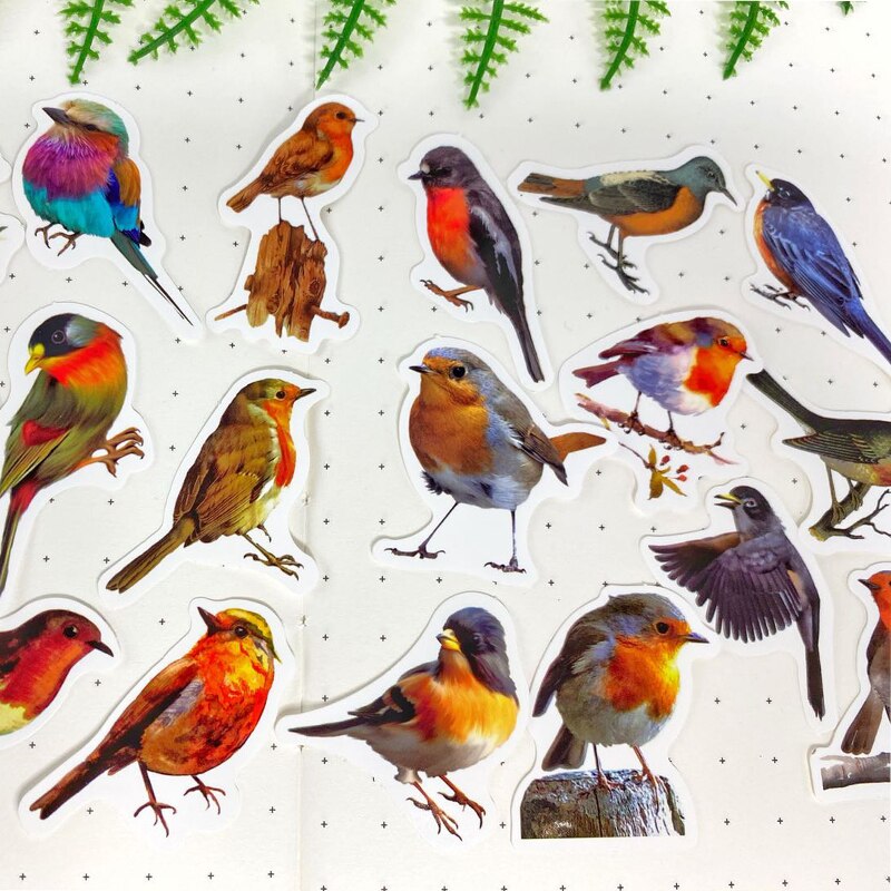40Pcs Robin Serie Waterdichte Stickers Diy Scrapbo... – Vicedeal