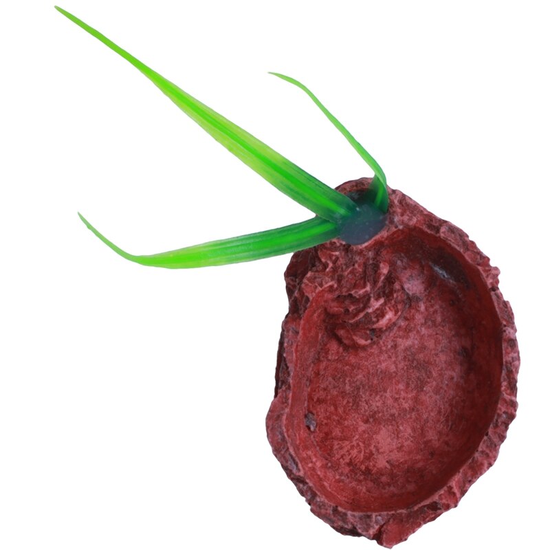 Brick Red Oval Shaped Resin Tank Reptiles Dish Bow... – Vicedeal