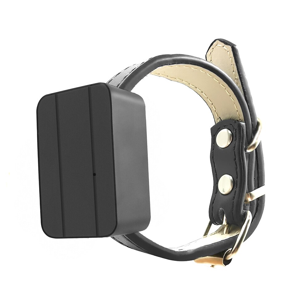 GPS Pet Tracker CJ230 GPS WIFI LBS track for cat d... – Grandado