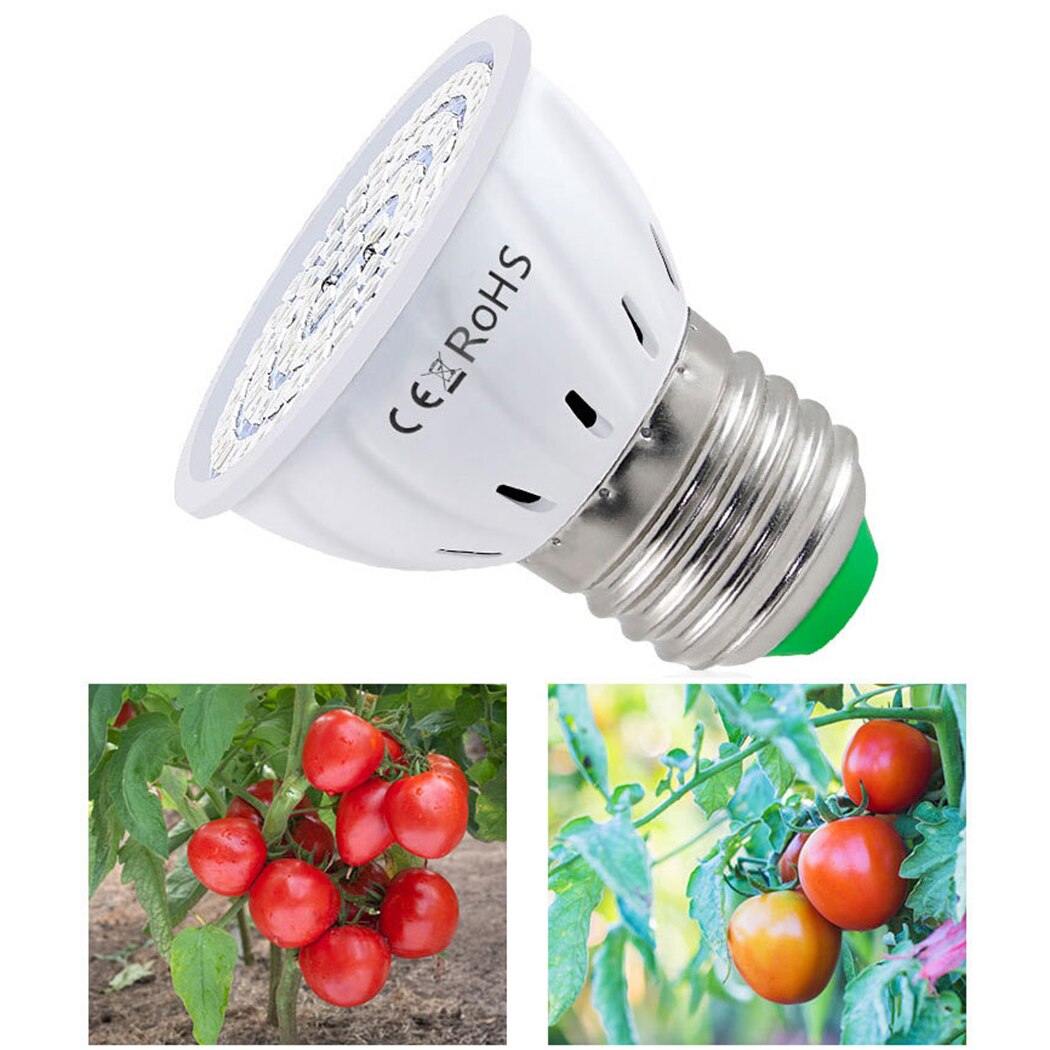 Bloem Plant Licht Greenhouse Full Spectrum Planten... – Grandado