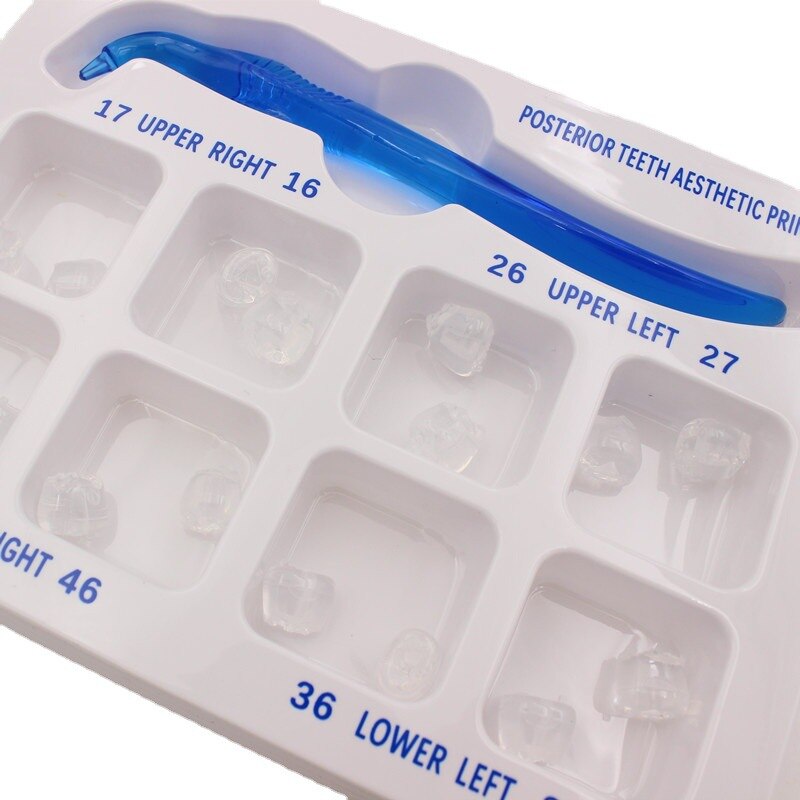 1 Set Dental Posterior Teeth Aesthetic Printing Se... – Grandado