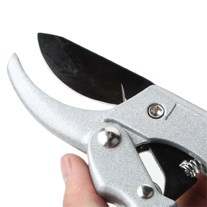 Snoeien Shear Hoge Koolstofstaal Fruit Boom Snoeie... – Grandado