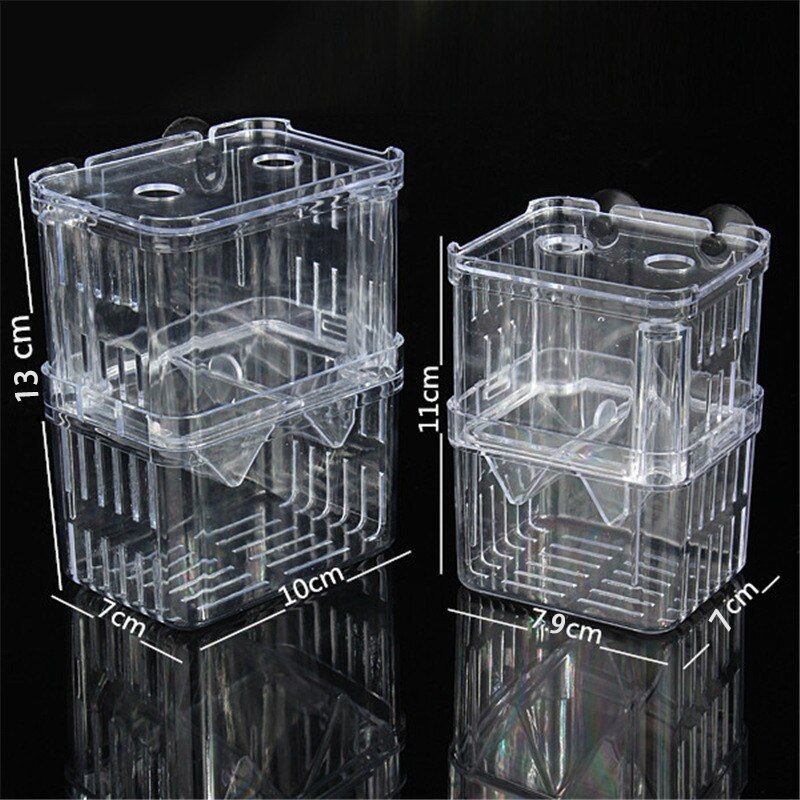 Transparent Fish Fighting Boxes Detachable Eco-Fri... – Grandado