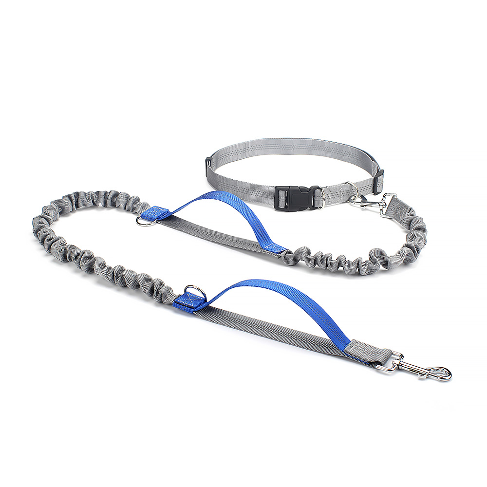 Pet Dog Running Leashes Reflective Traction Rope B... – Grandado