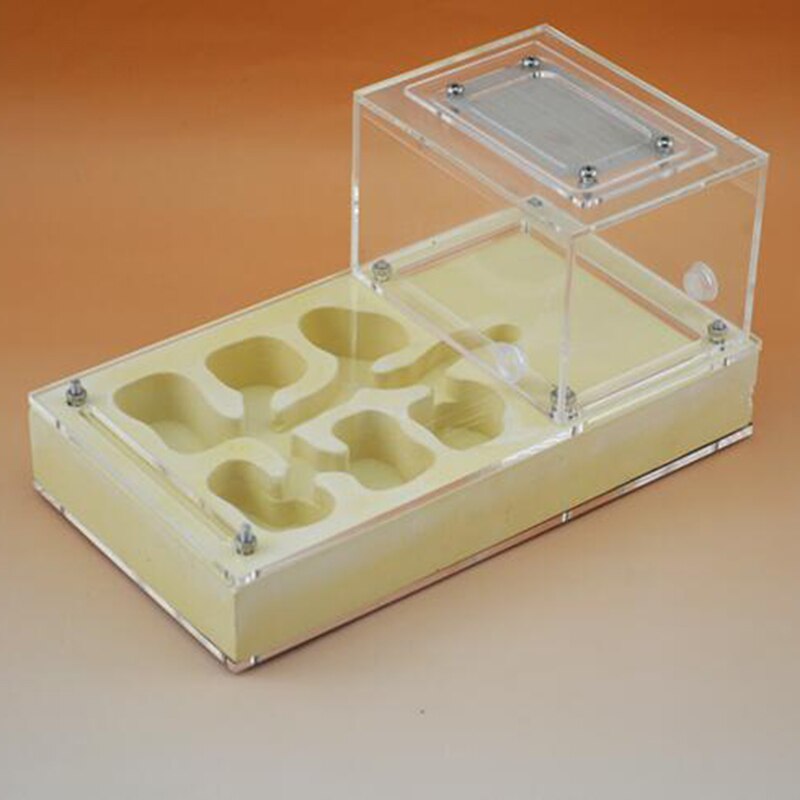 Yellow Plaster Plane Ant Nest Acrylic Combination ... – Grandado