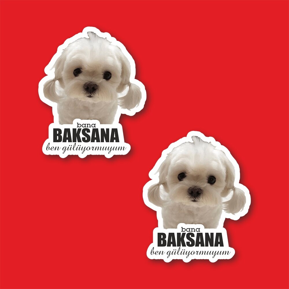 Ben Gülüyormuyum Laptop and Phone Sticker-Decal ma... – Vicedeal