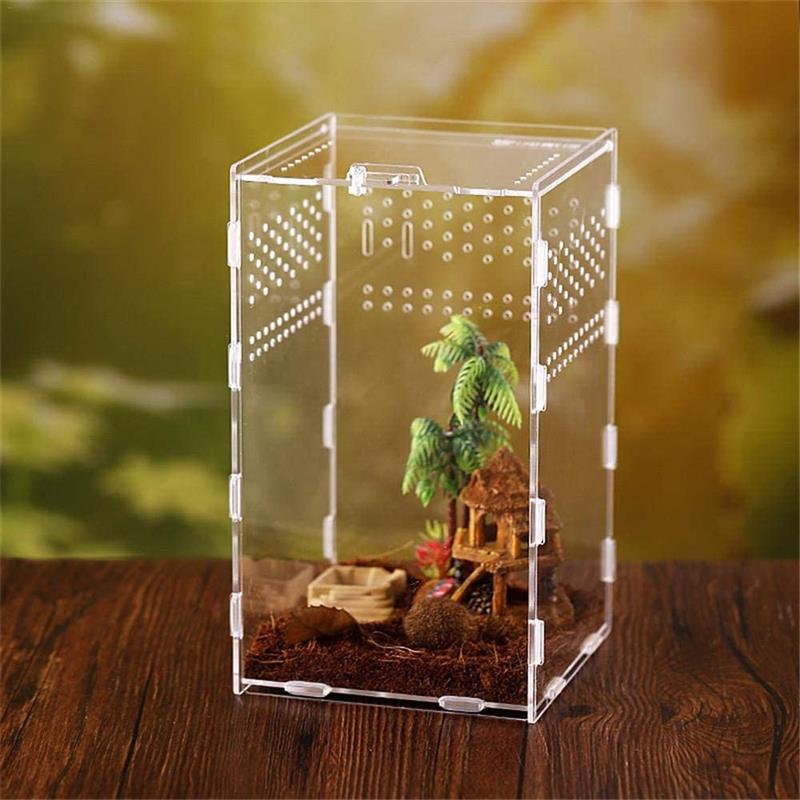 Transparent Acrylic Reptile Feeding Box Insect Box... – Vicedeal