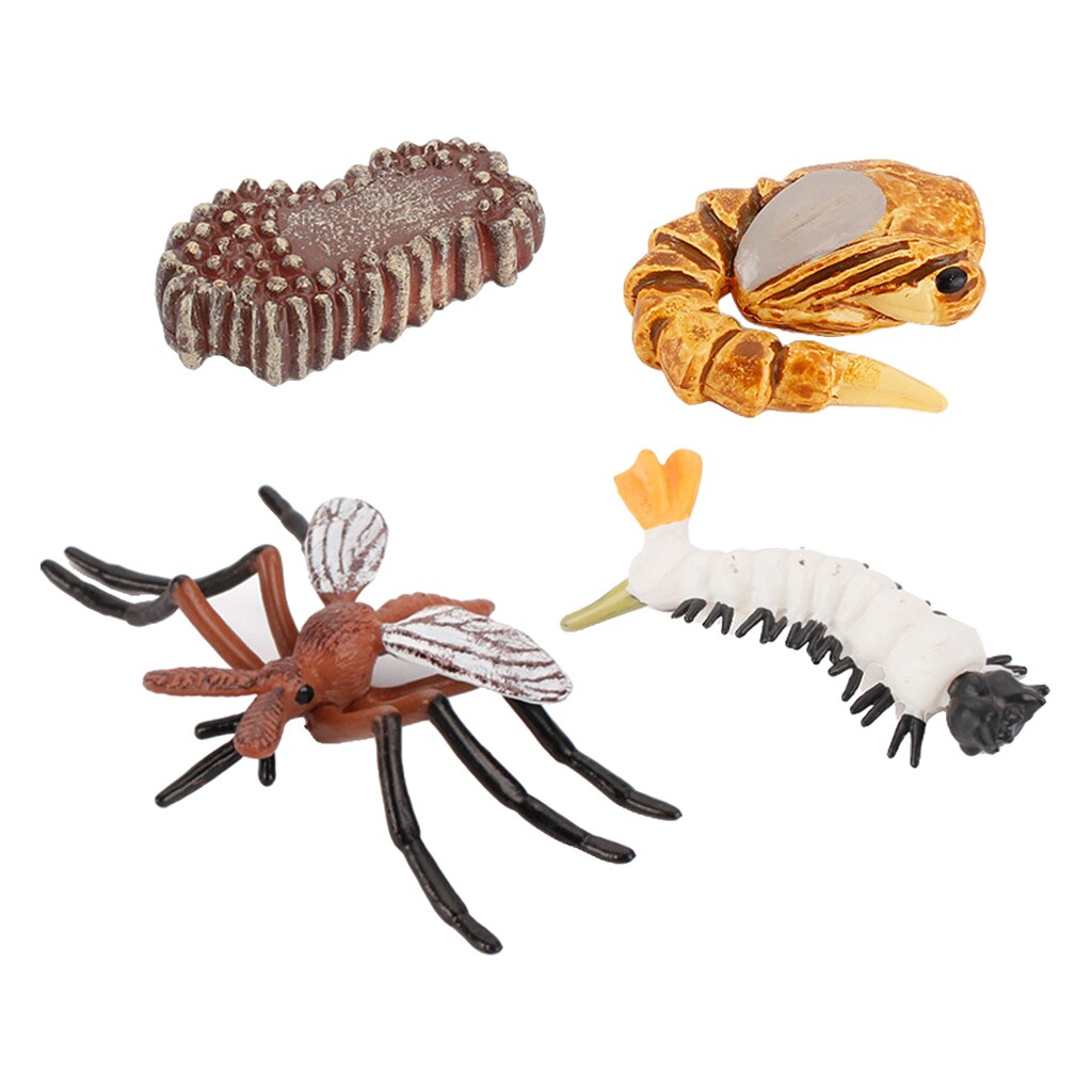 Mini Animal Life Cycle Toy Realistic Turtle//Frog ... – Grandado