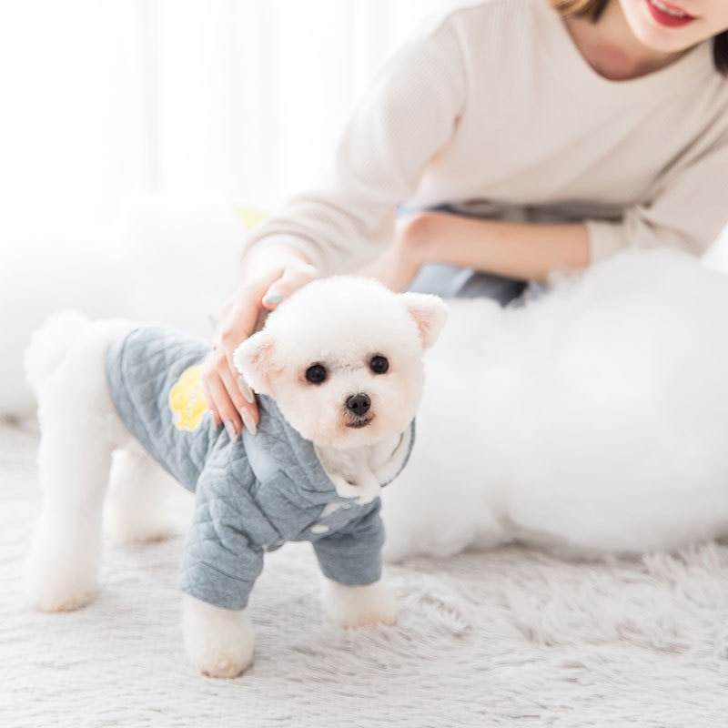 Newest Autumn and Winter Dog Quilted Cotton Clothe... – Grandado