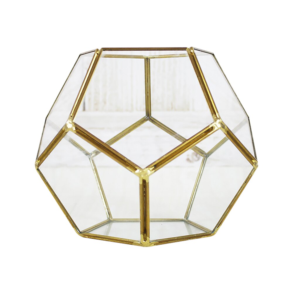 Sort glas pentagon geometrisk terrarium container ... – Grandado