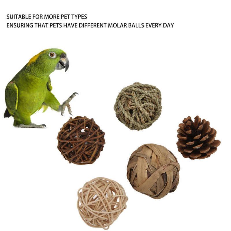 Parrot Grass Ball Toy Keep Exercising Stress Relie... – Grandado